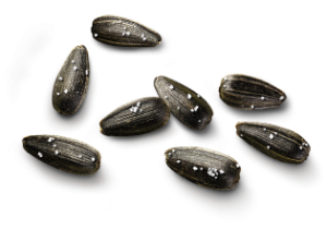 Arhive Seminţe - Nutline