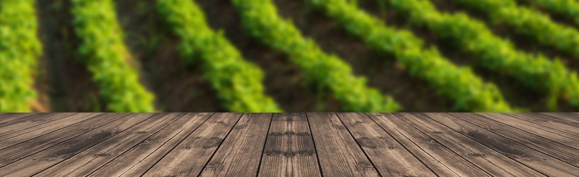 Nutline – Bine crescute, bine prăjite